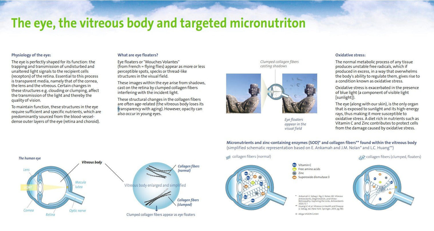 VitroCap®N: Micro-nutrient Supplement for Reducing Eye Floaters | iCARE ...